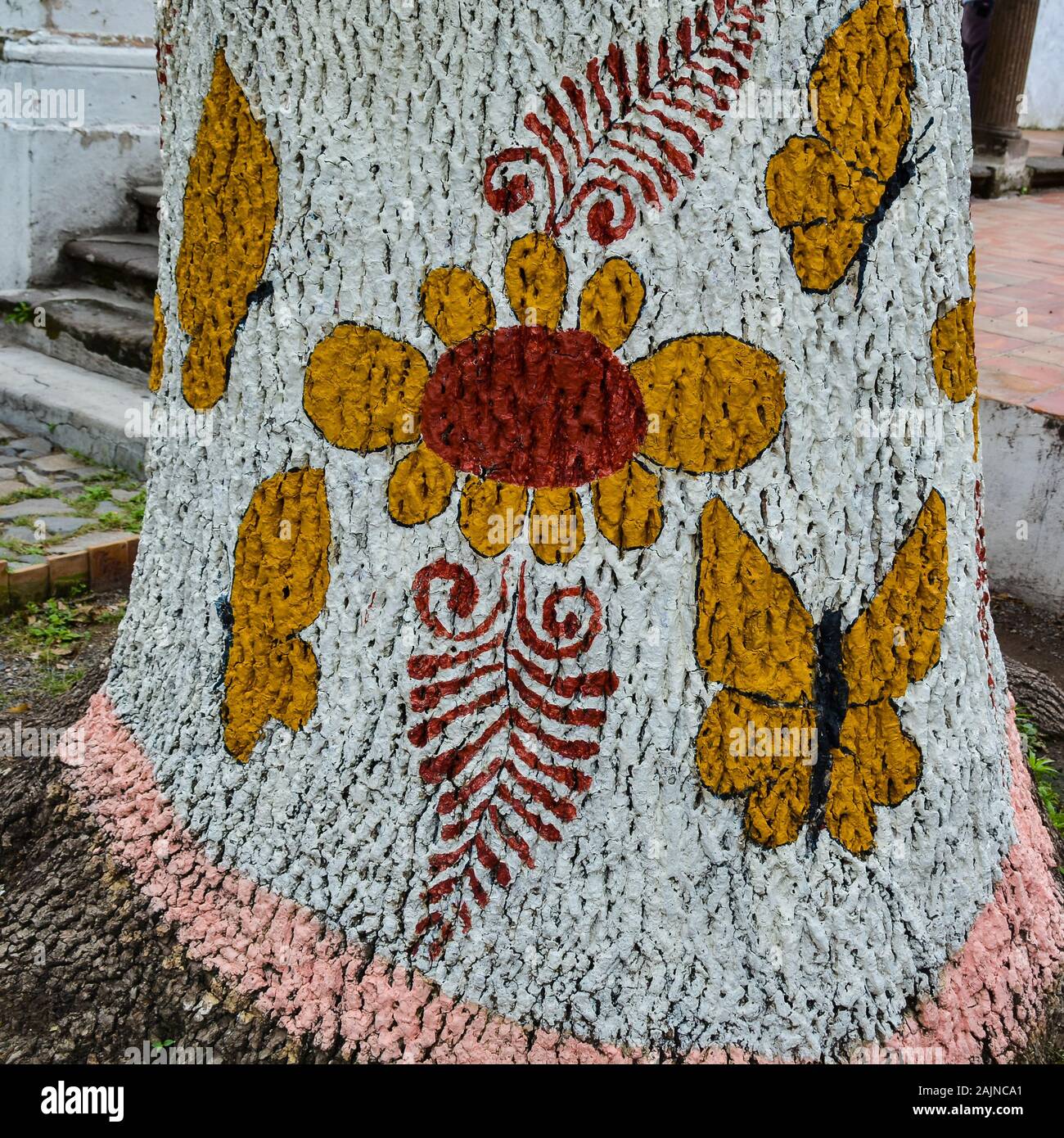 Artwork on trunk of mango tree - Tlaquepaque, Mexico Stock Photo - Alamy