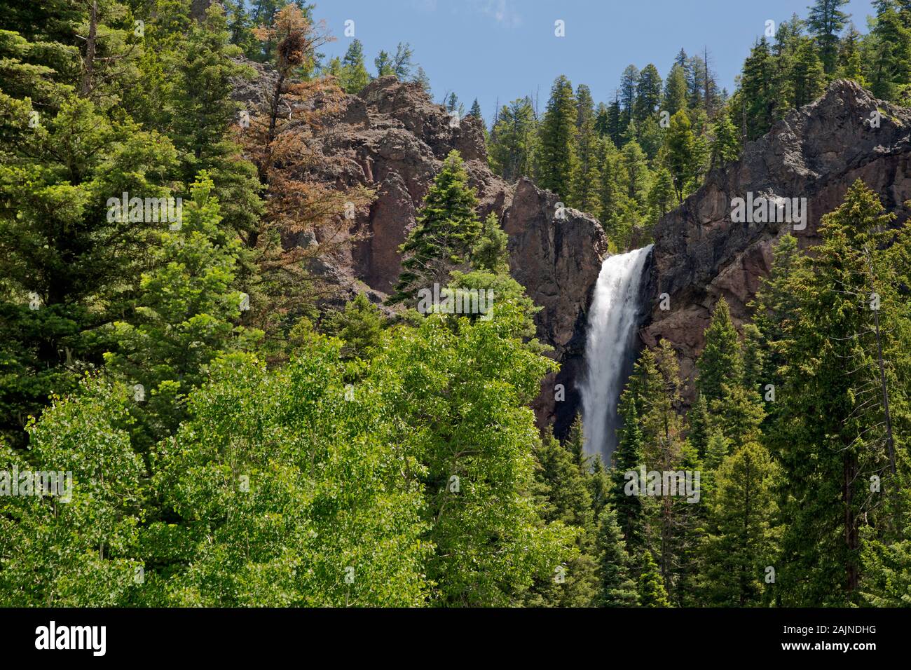 Us treasure hi-res stock photography and images - Alamy