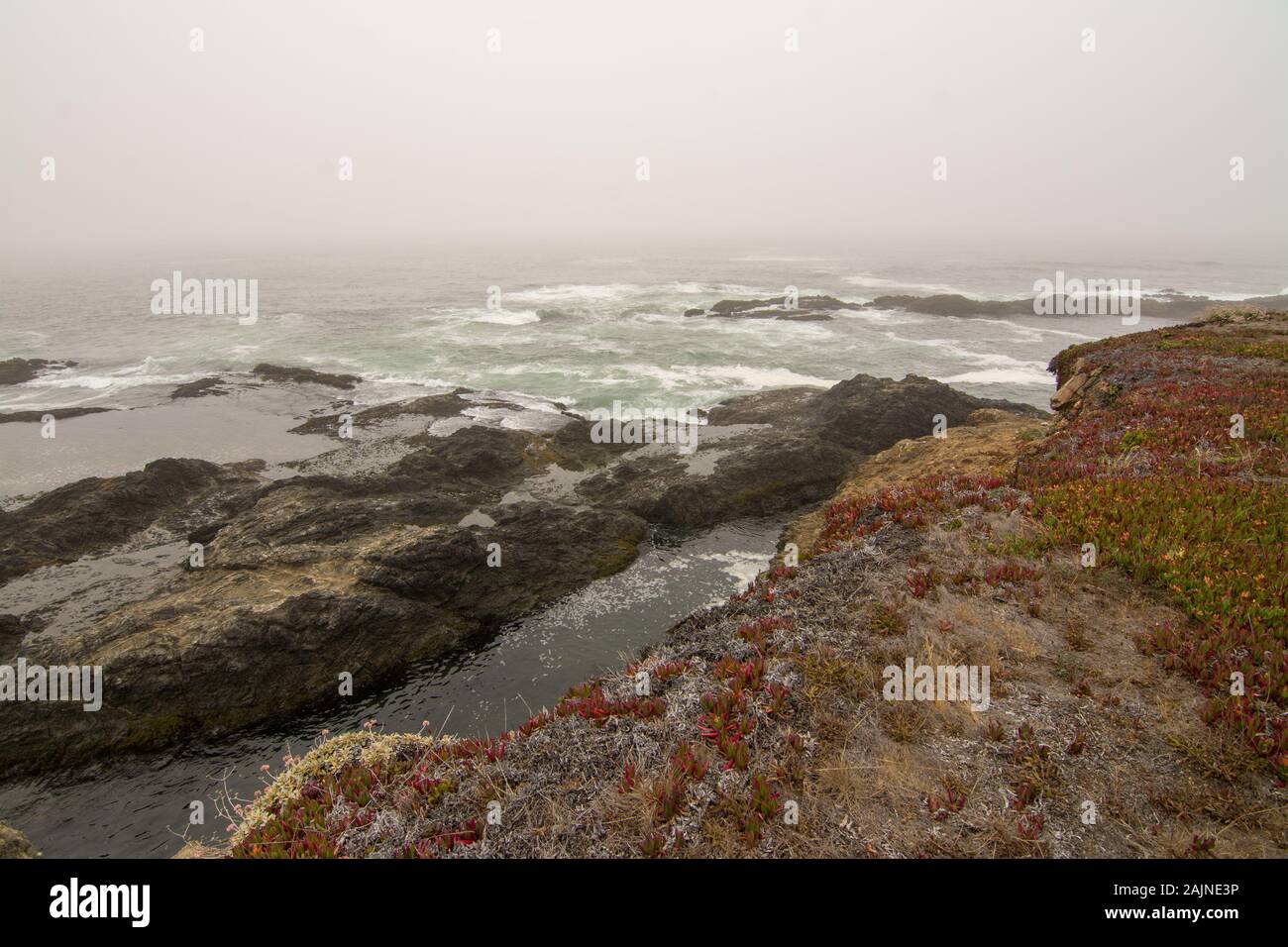 Ocean cliff coastal landscape storm and fog Stock Photo - Alamy
