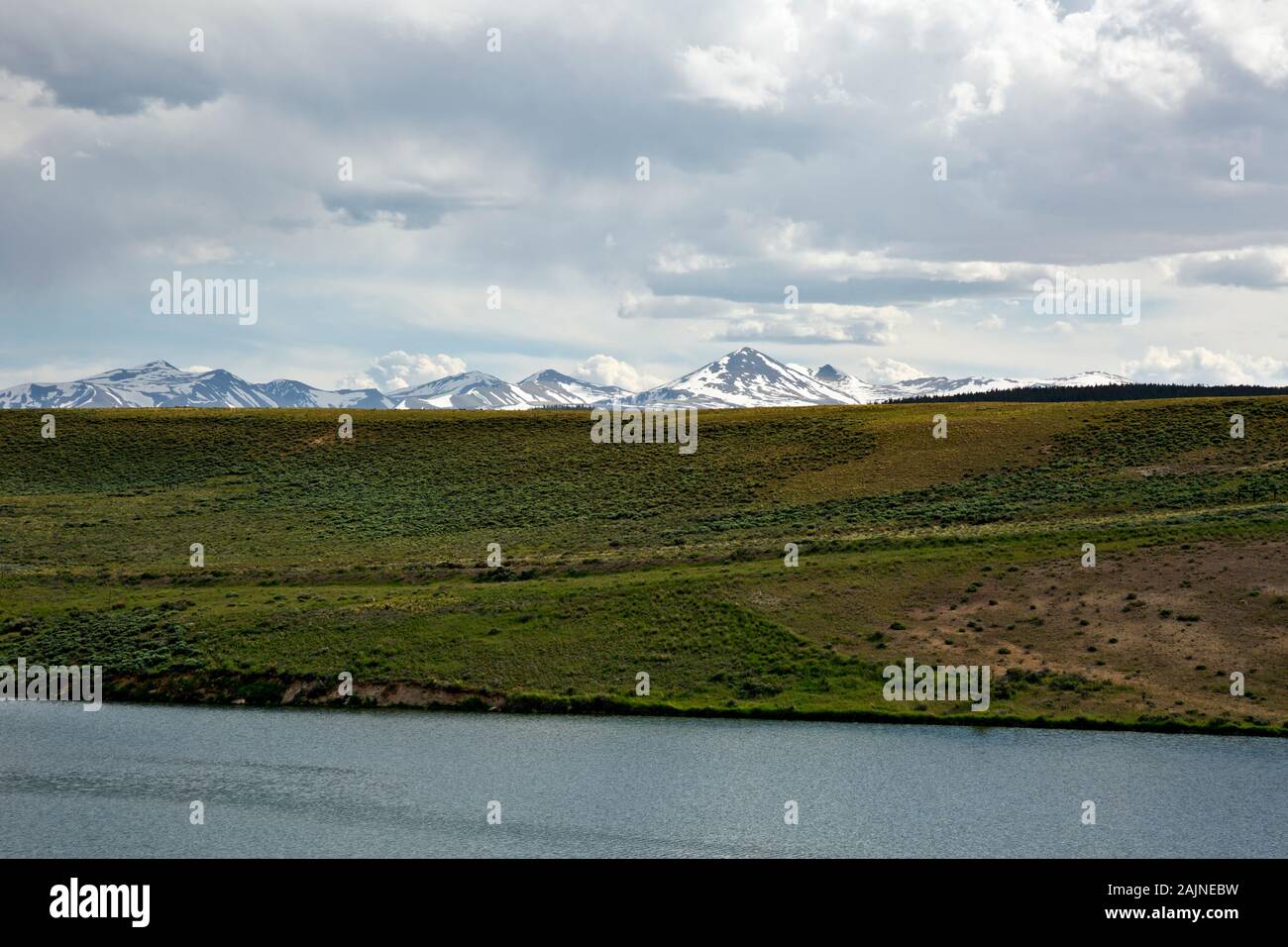 Shoreline wildlife hi-res stock photography and images - Alamy