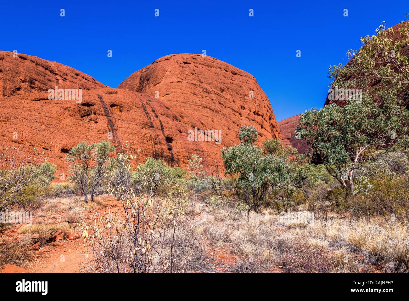 Valley of the Winds walk in the Olgas.Kata Tjuta, Northern Territory ...