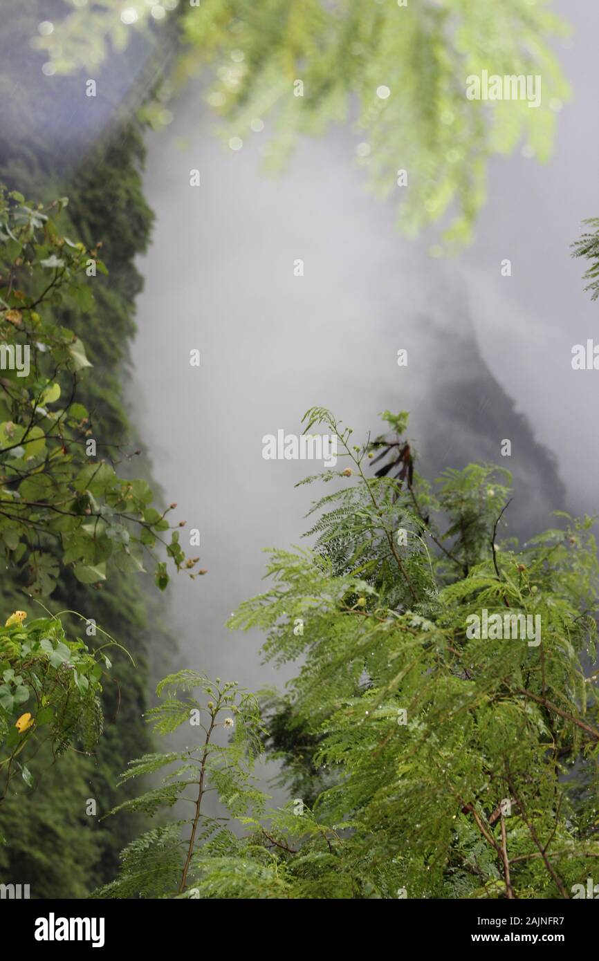 Nature's Lush Waterfall Stock Photo - Alamy