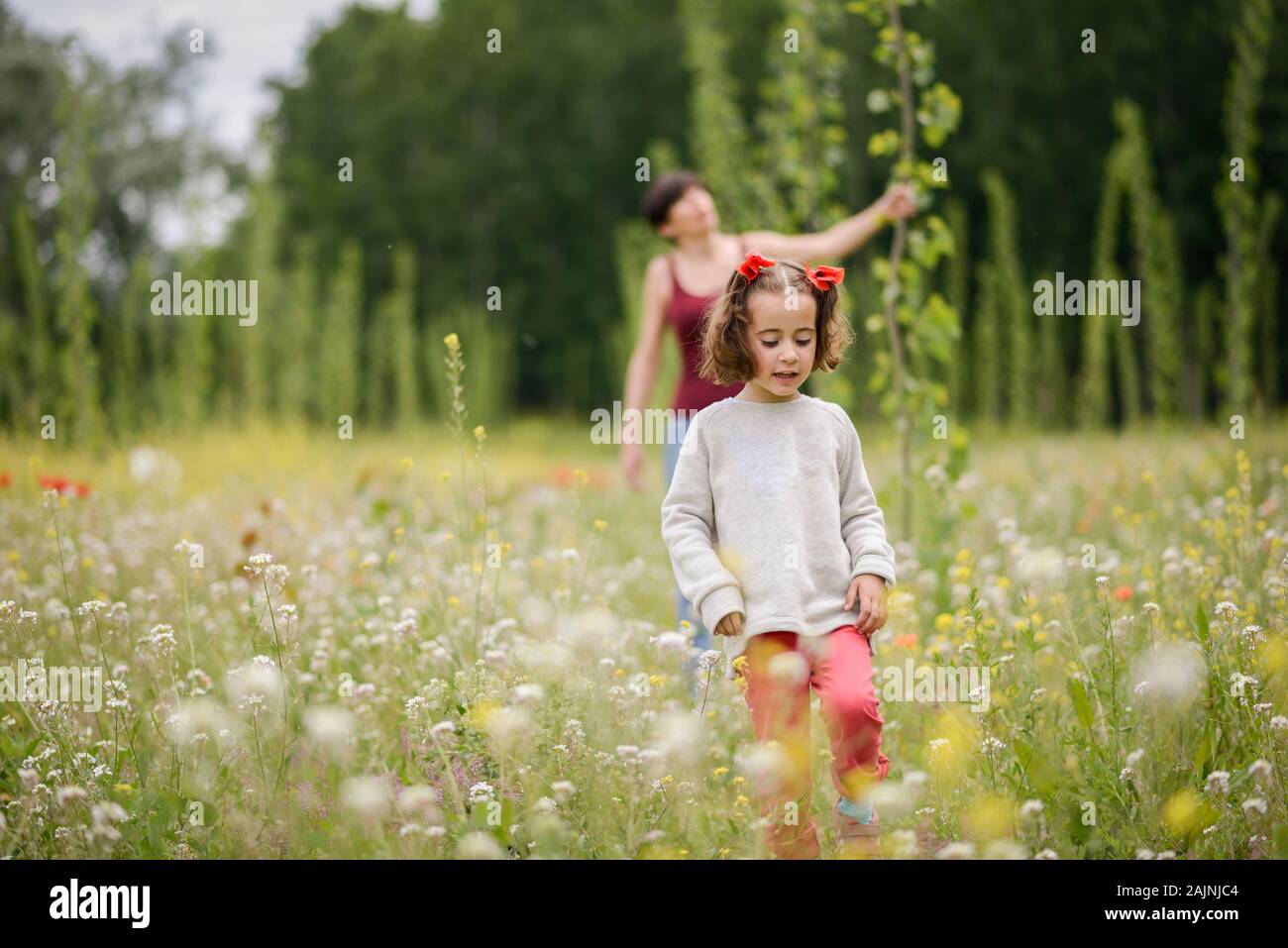 Mother poppy hi-res stock photography and images - Alamy