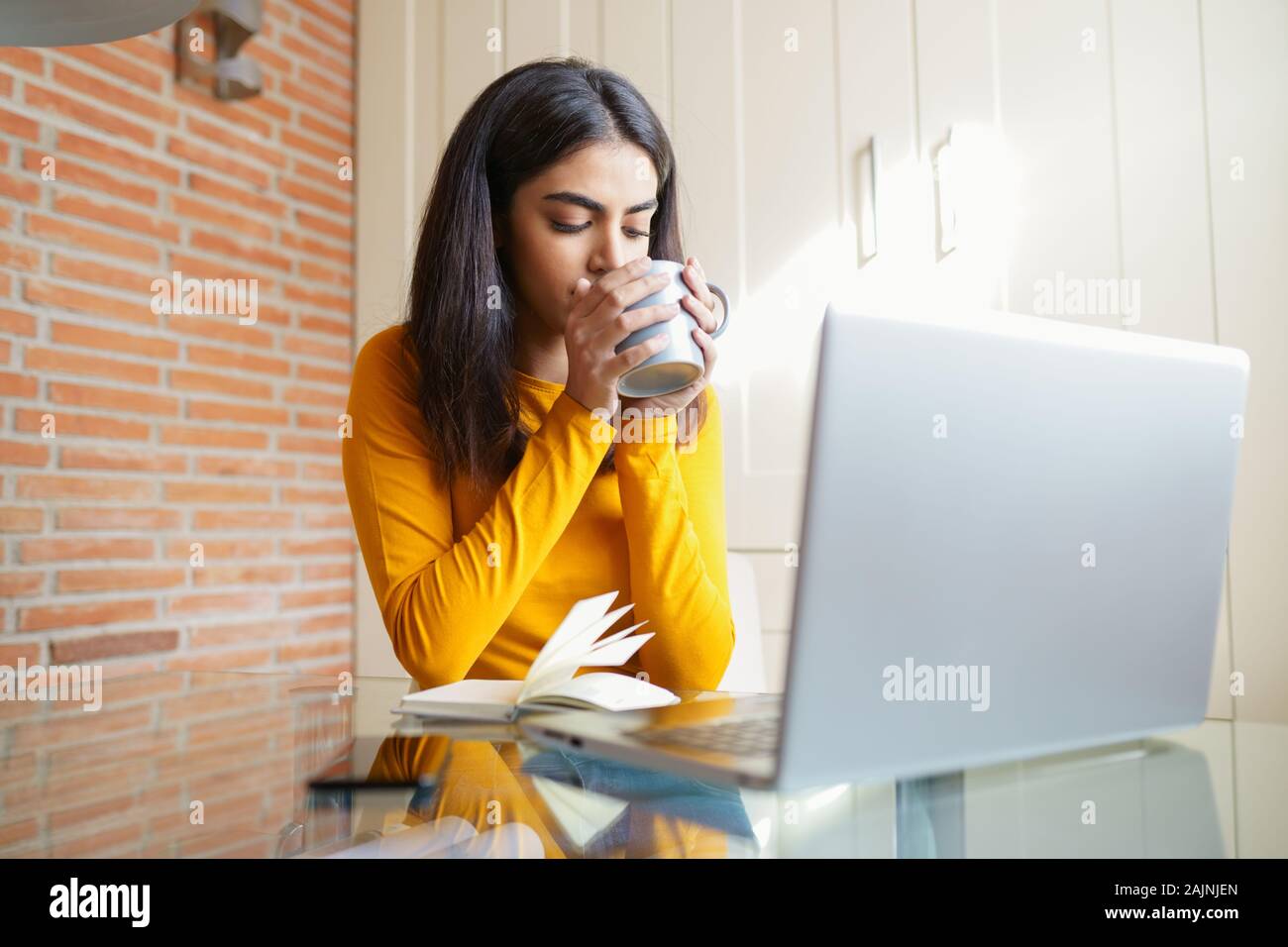 Female architect working at home with a laptop and blueprints Stock ...