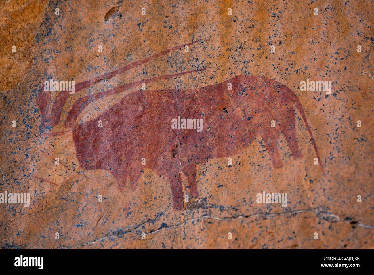 San bushman eland hi-res stock photography and images - Alamy