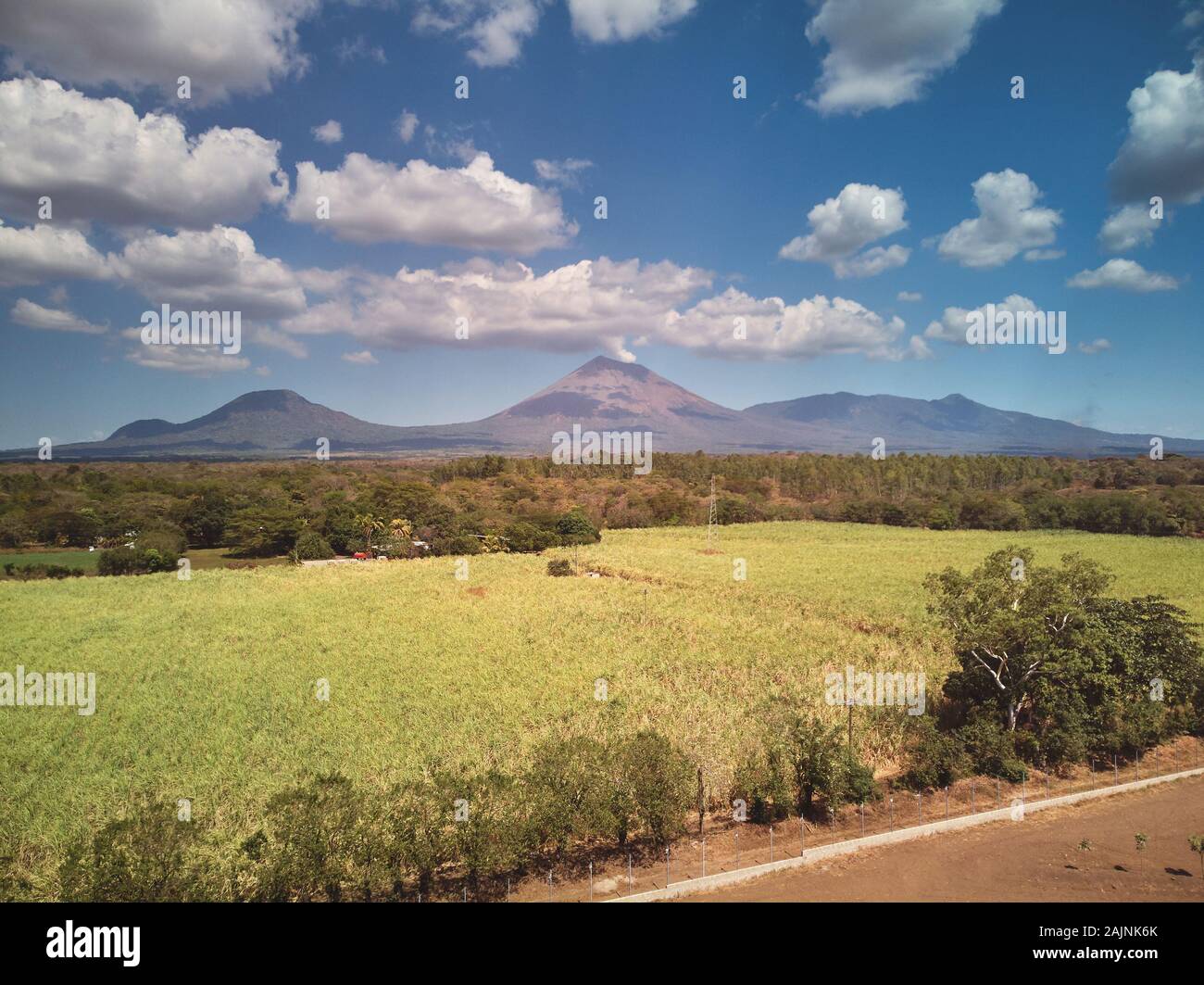 Sugar cane agriculture theme. Farming near volcano Stock Photo - Alamy
