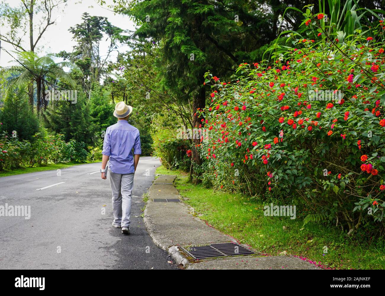 Young Asian man walking on rural road in Cameron Highlands, Malaysia ...