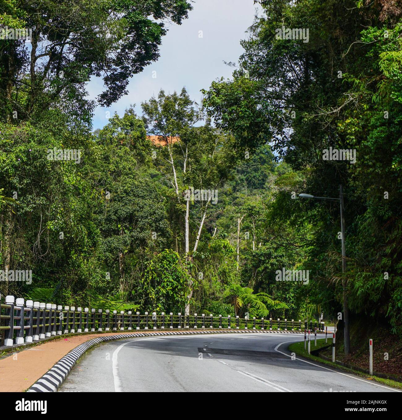 Mountain road on Cameron Highlands. Cameron is the most popular of the ...
