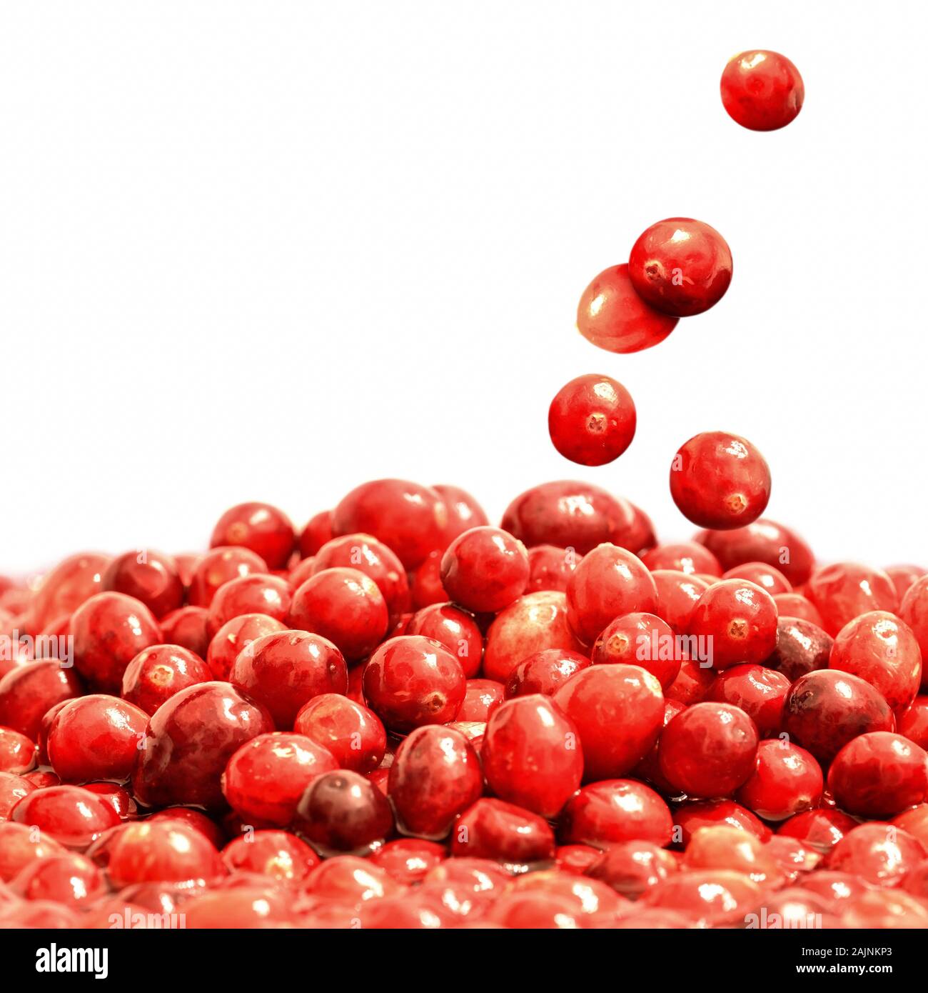 Delicious ripe cranberries falling, isolated over white background ...
