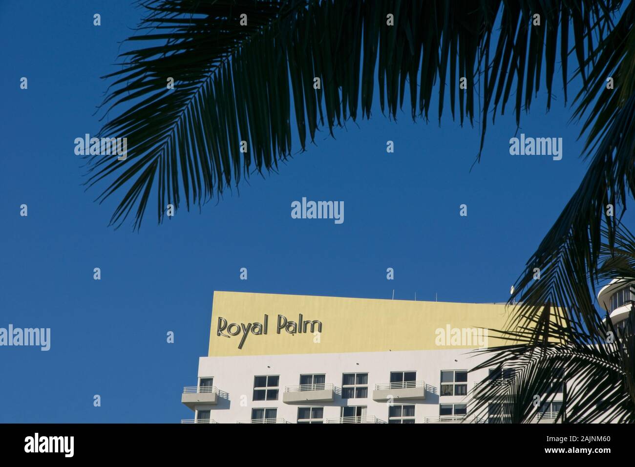Royal palm hotel south beach hi-res stock photography and images - Alamy
