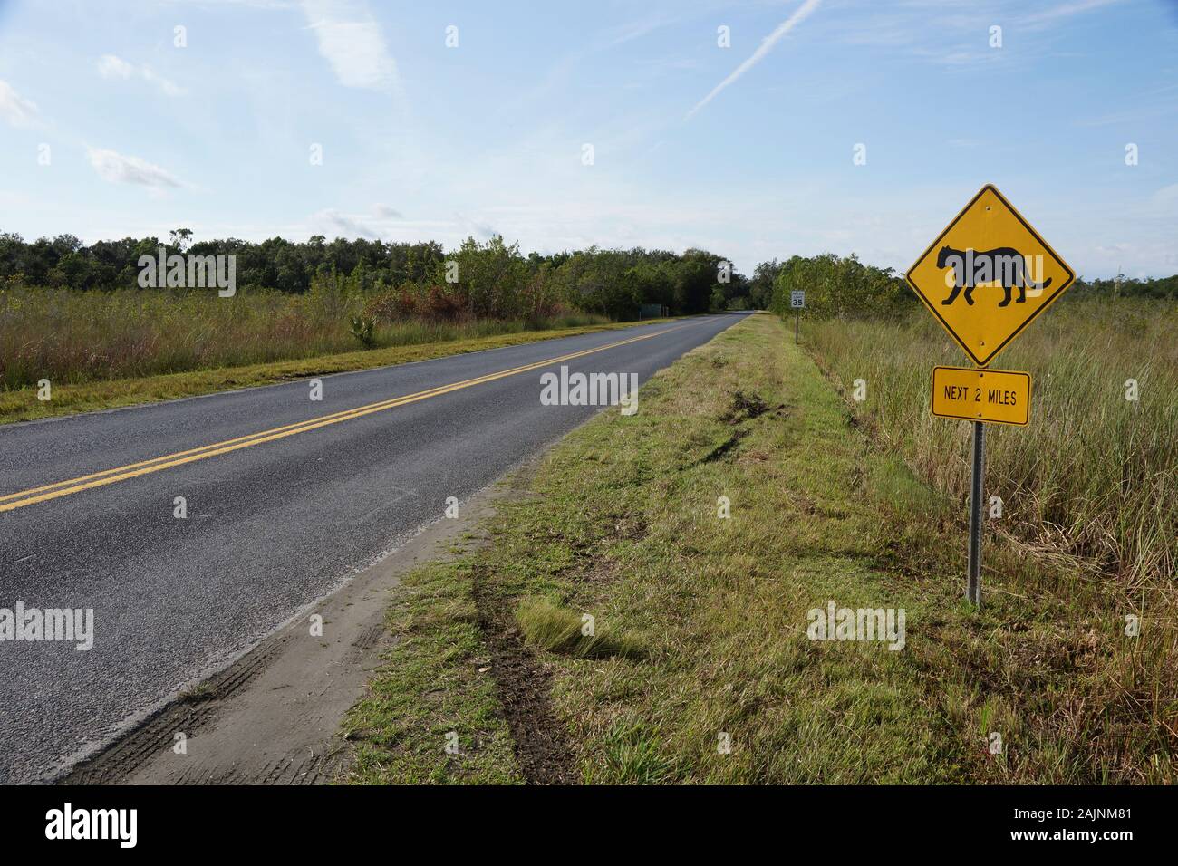 Crossing sign for Florida panther (Puma concolor couguar) in National ...