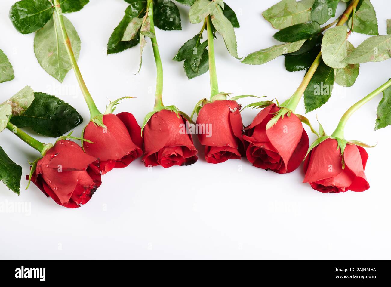 Red roses border frame isolated on white background Stock Photo - Alamy