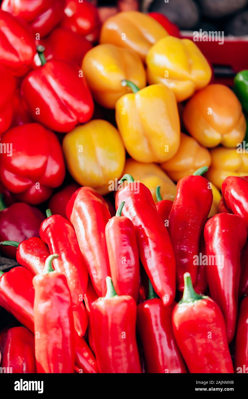Fresh red and yellow peppers. Different varieties of pepper Stock Photo ...