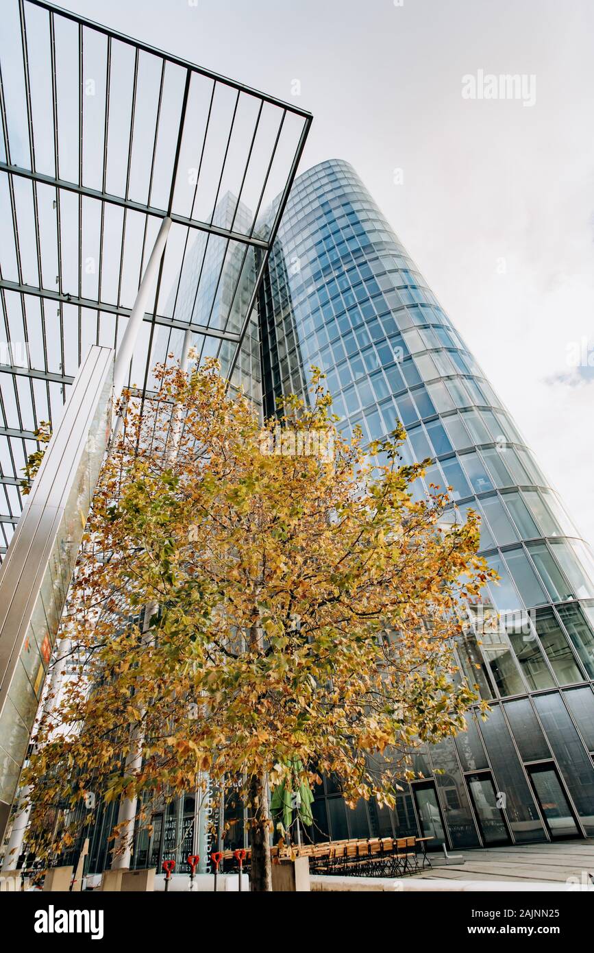 View of the business building from below. Near the skyscraper autumn ...