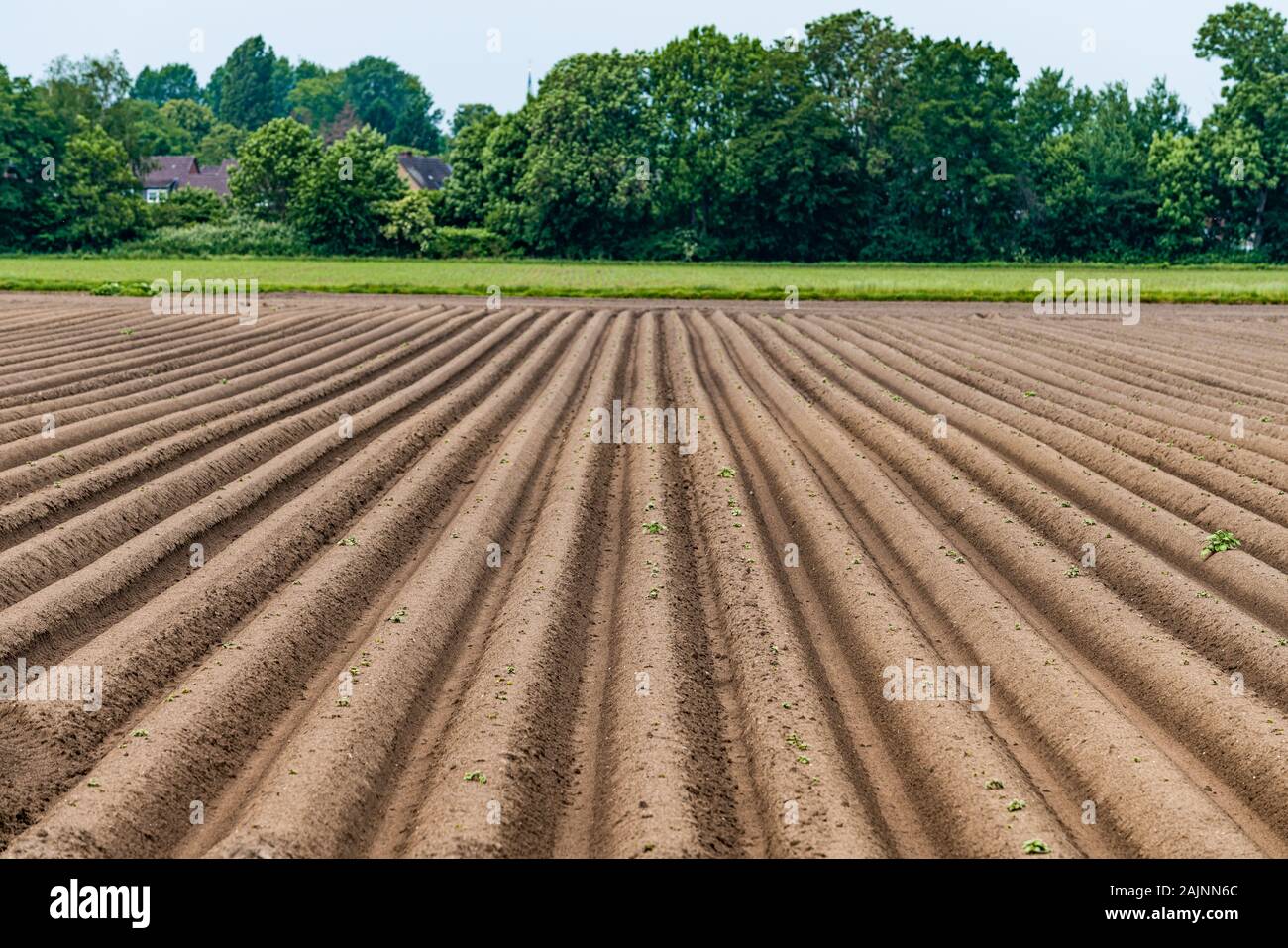 Ploughed field hi-res stock photography and images - Alamy