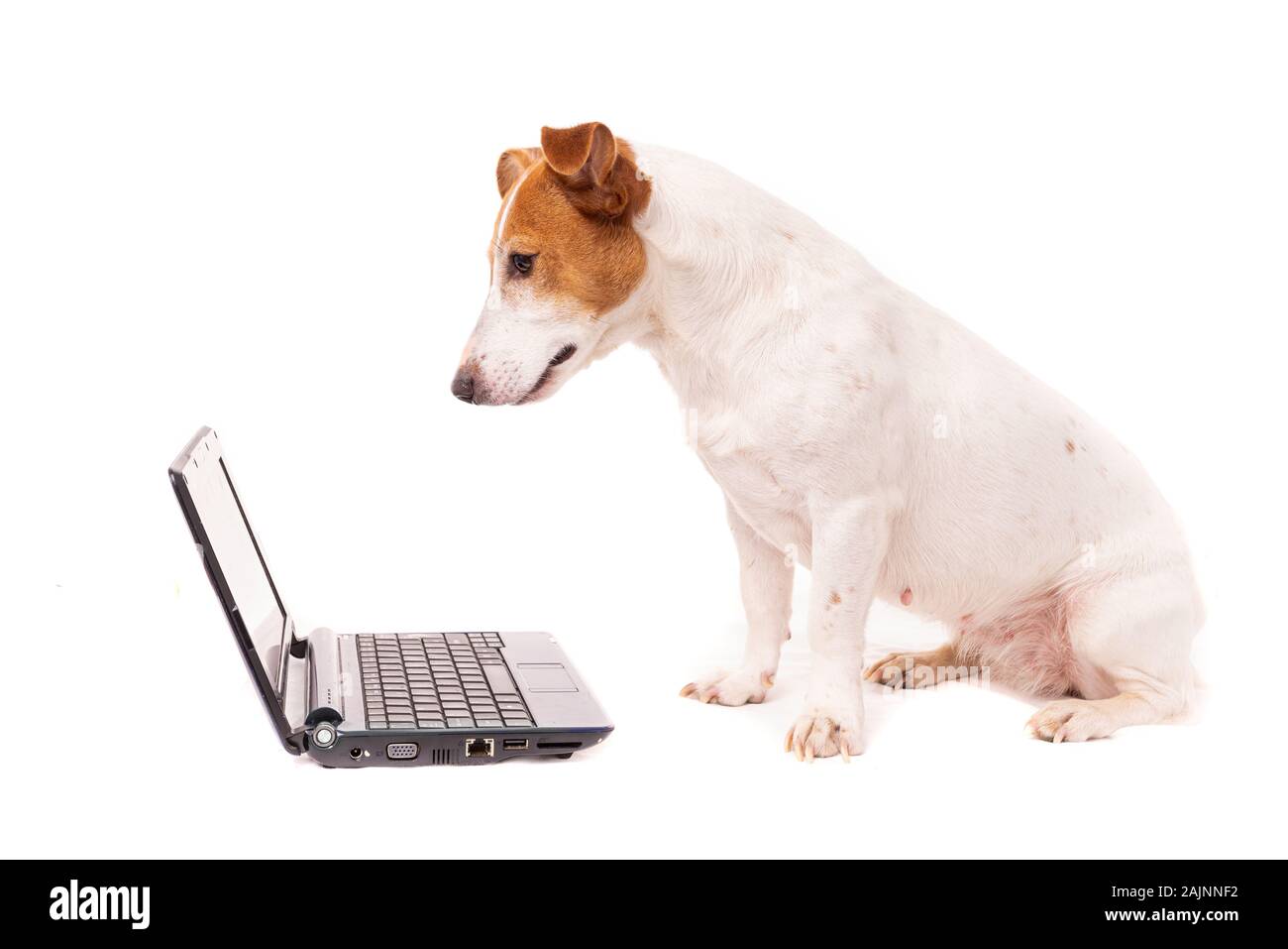 Smart lenses hi-res stock photography and images - Alamy