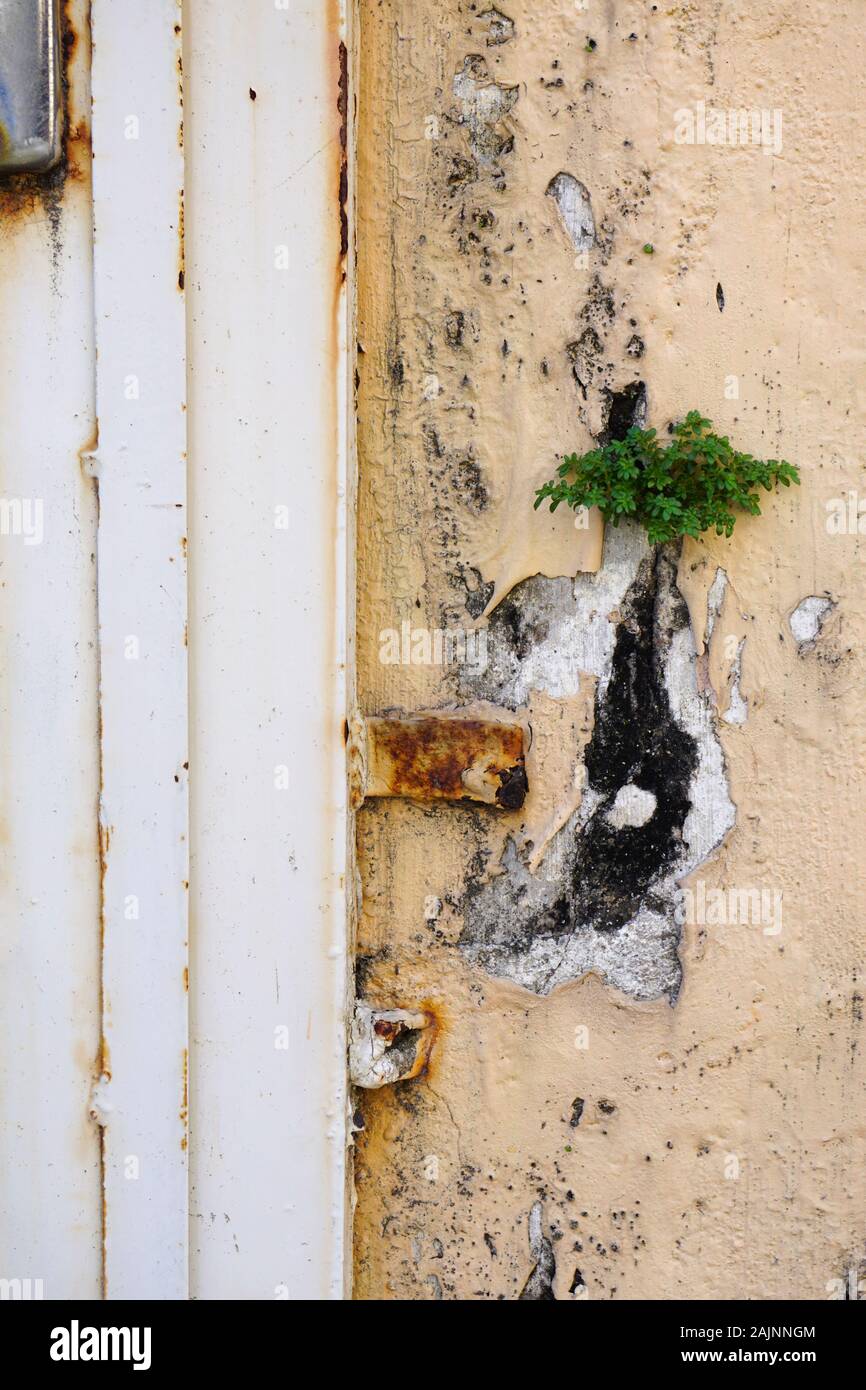 Old brick wall of ancient building in old town of Malacca, Malaysia ...