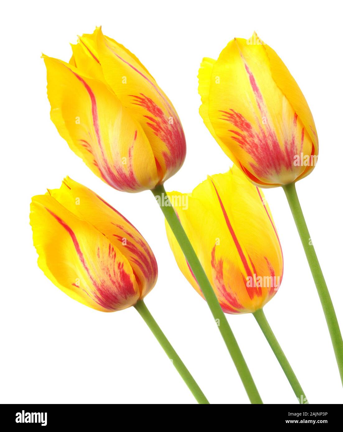 Four white stripes hi-res stock photography and images - Alamy