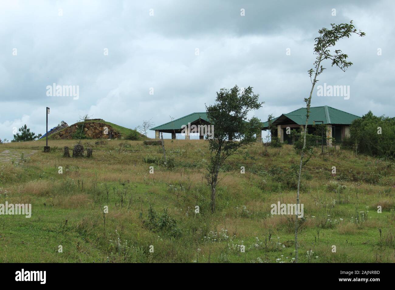 Forest side green field and blue sky Stock Photo - Alamy