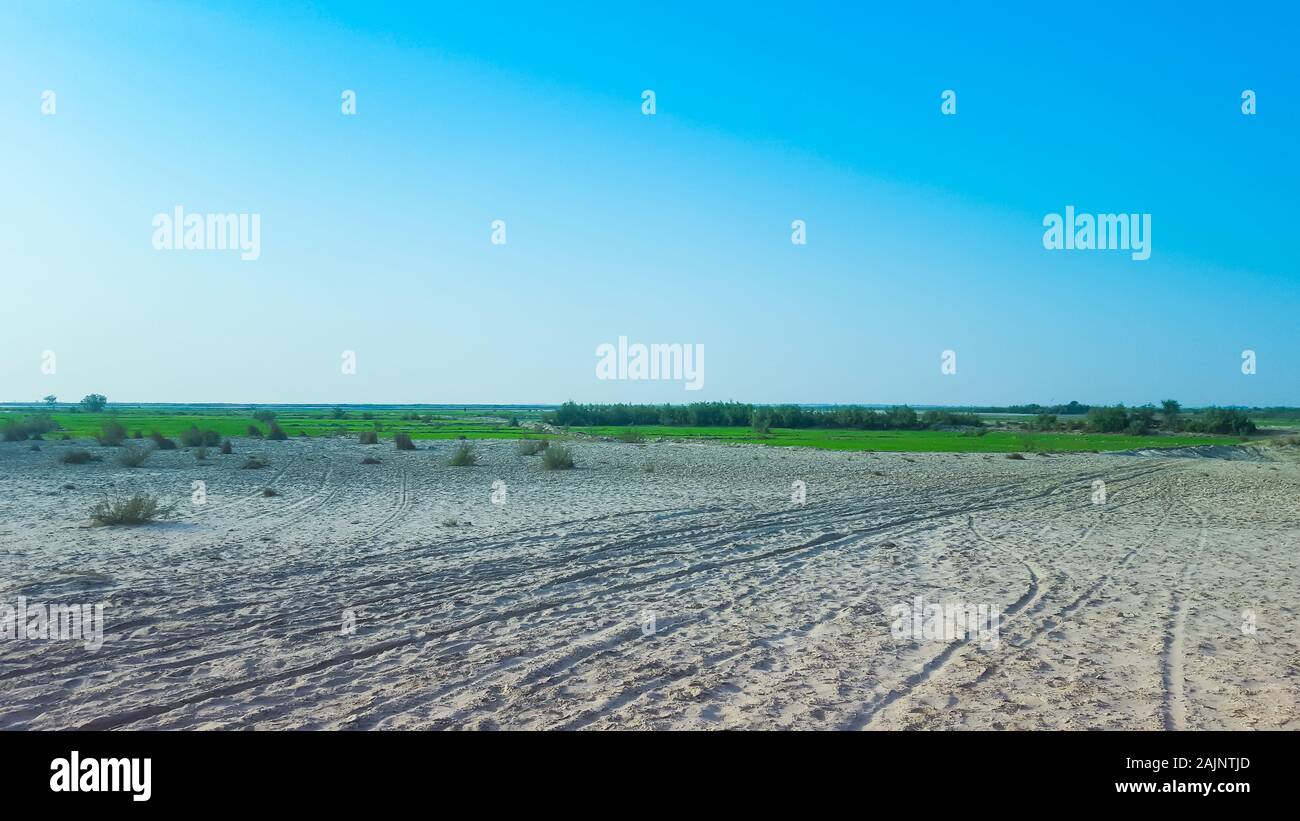 landscape image of a desert area in Punjab,Pakistan.green fields in ...