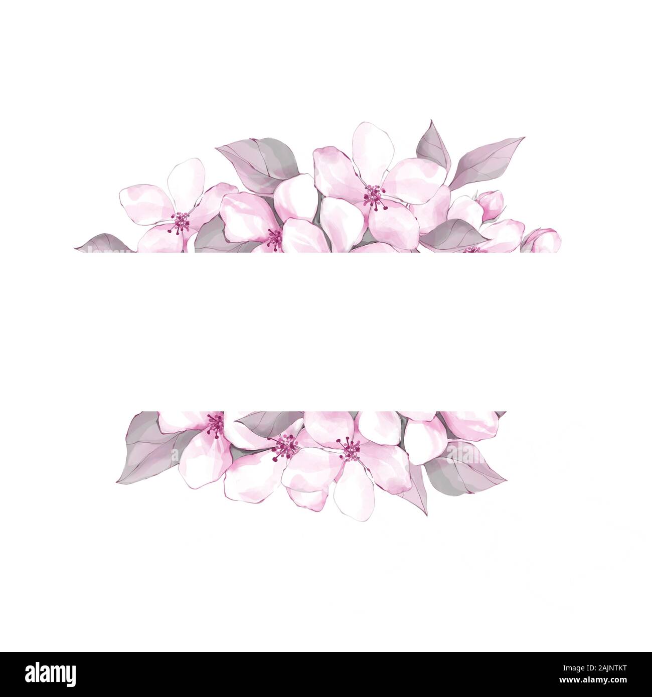 Sakura flowers frame Stock Photo - Alamy