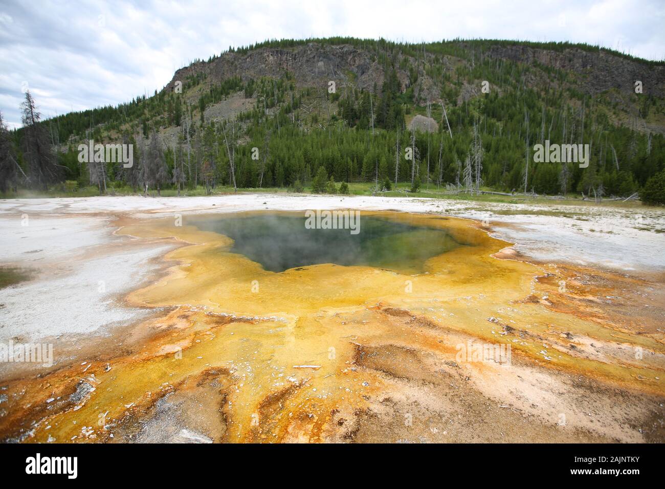 Black Sand Basin Area, Yellowstone National Park Stock Photo - Alamy