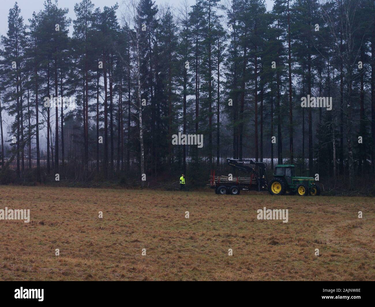 Finland deforestation hi-res stock photography and images - Alamy
