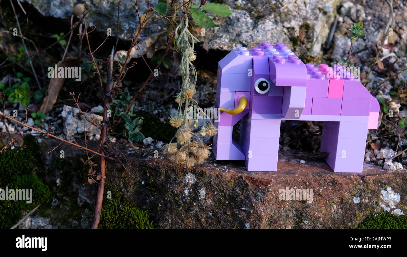 Single toys elephant from kids blocks Stock Photo - Alamy