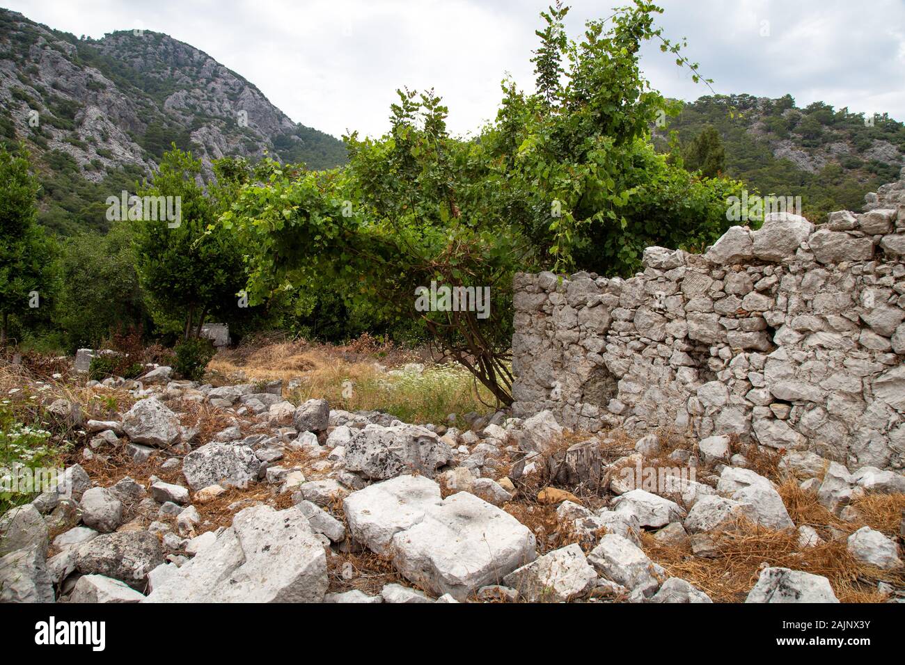 Ruins of the ancient city of Olympos in Cirali village in Antalya ...