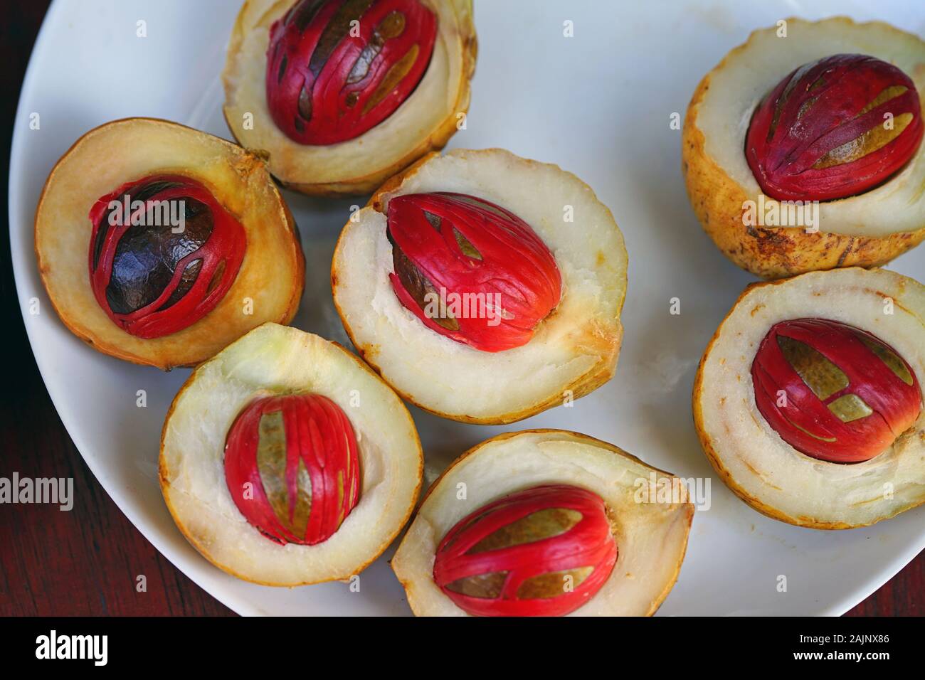 Fresh nutmeg (mace) seed pods in a red shell Stock Photo - Alamy