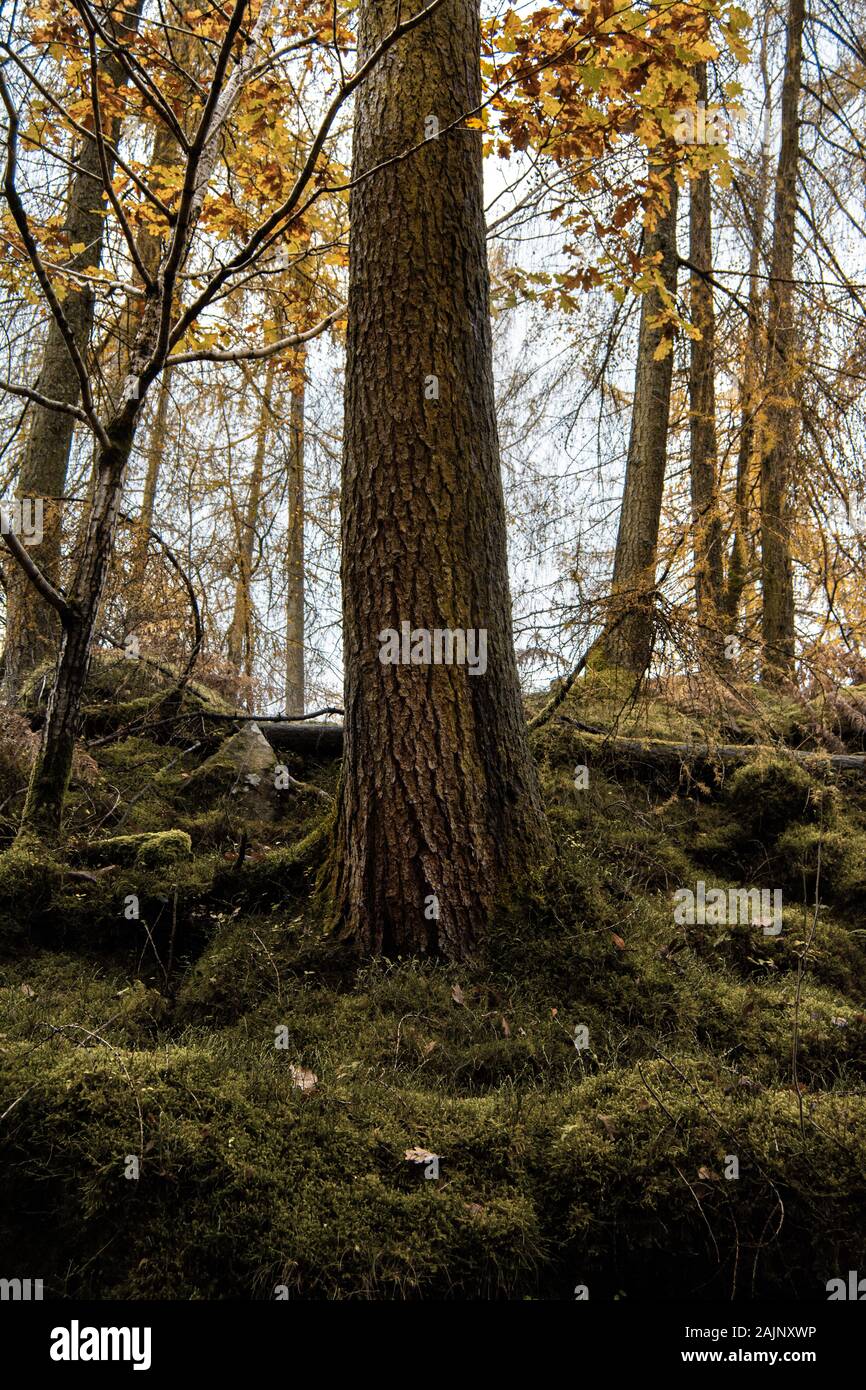 Detailed resolution hi-res stock photography and images - Alamy