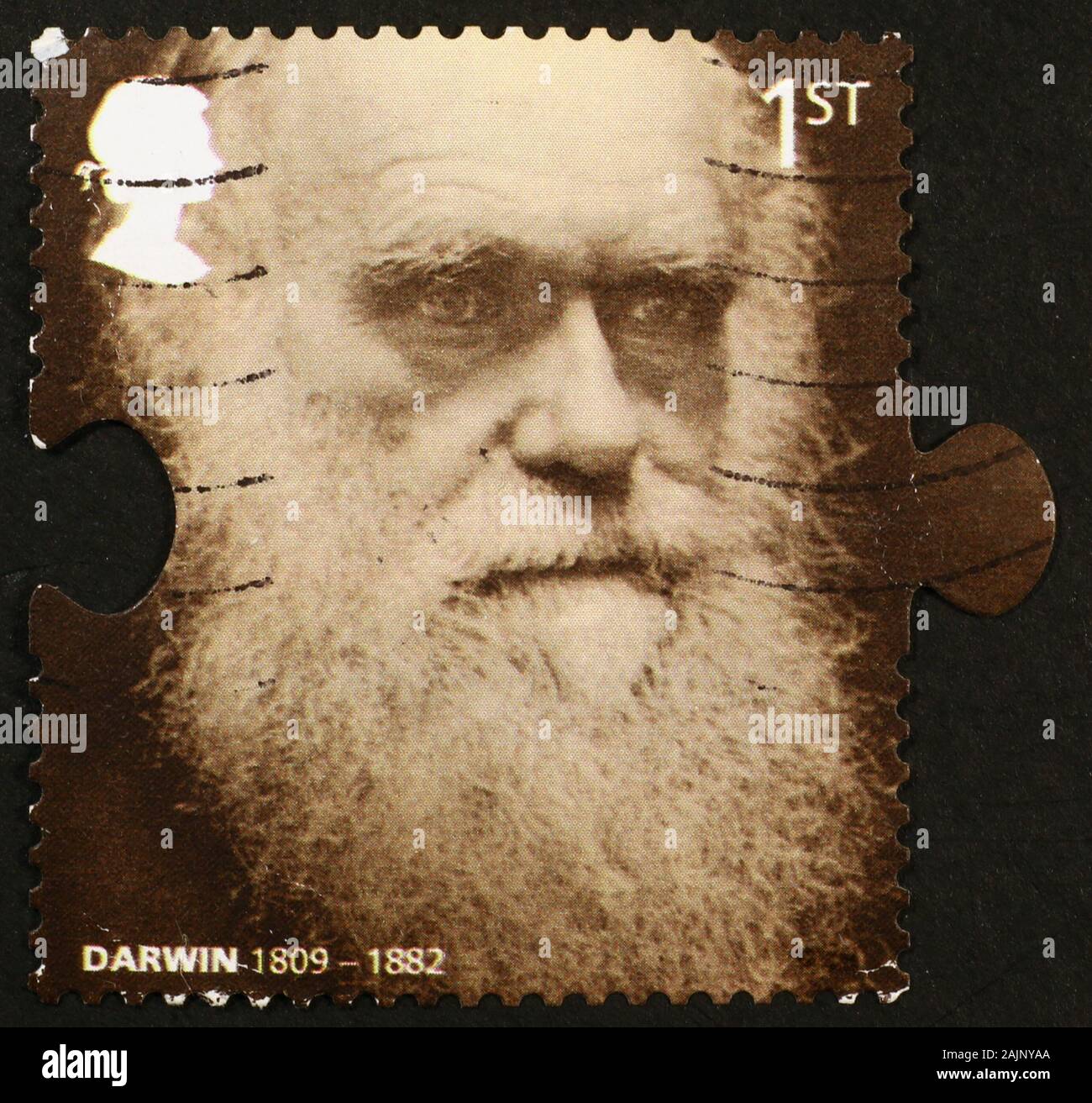British stamp celebrating Charles Darwin Stock Photo - Alamy