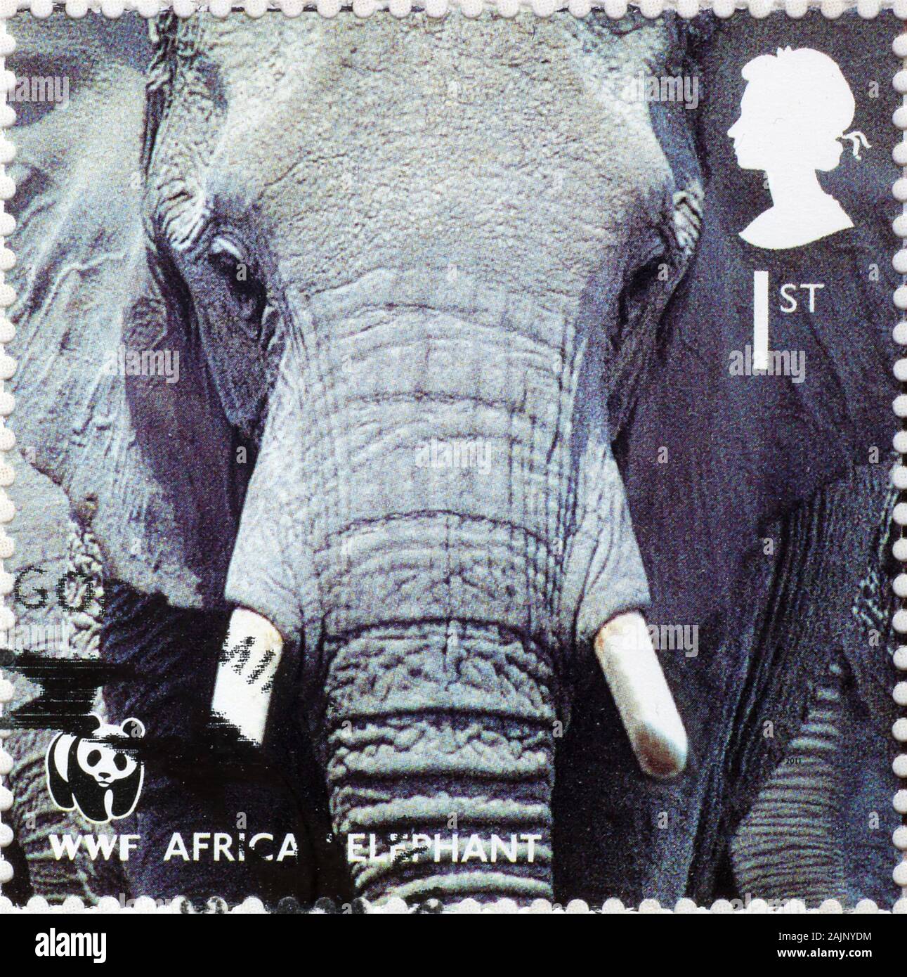 Closeup of african elephant on british postage stamp Stock Photo - Alamy