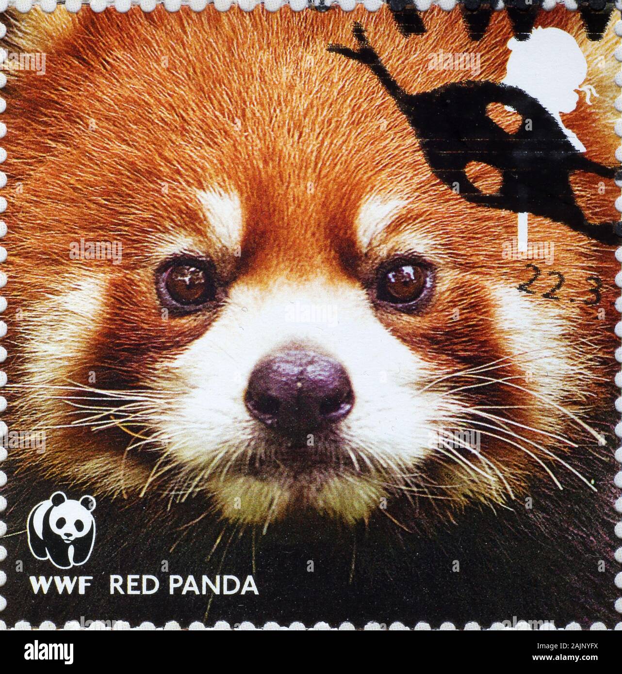 World Wildlife Fund Panda