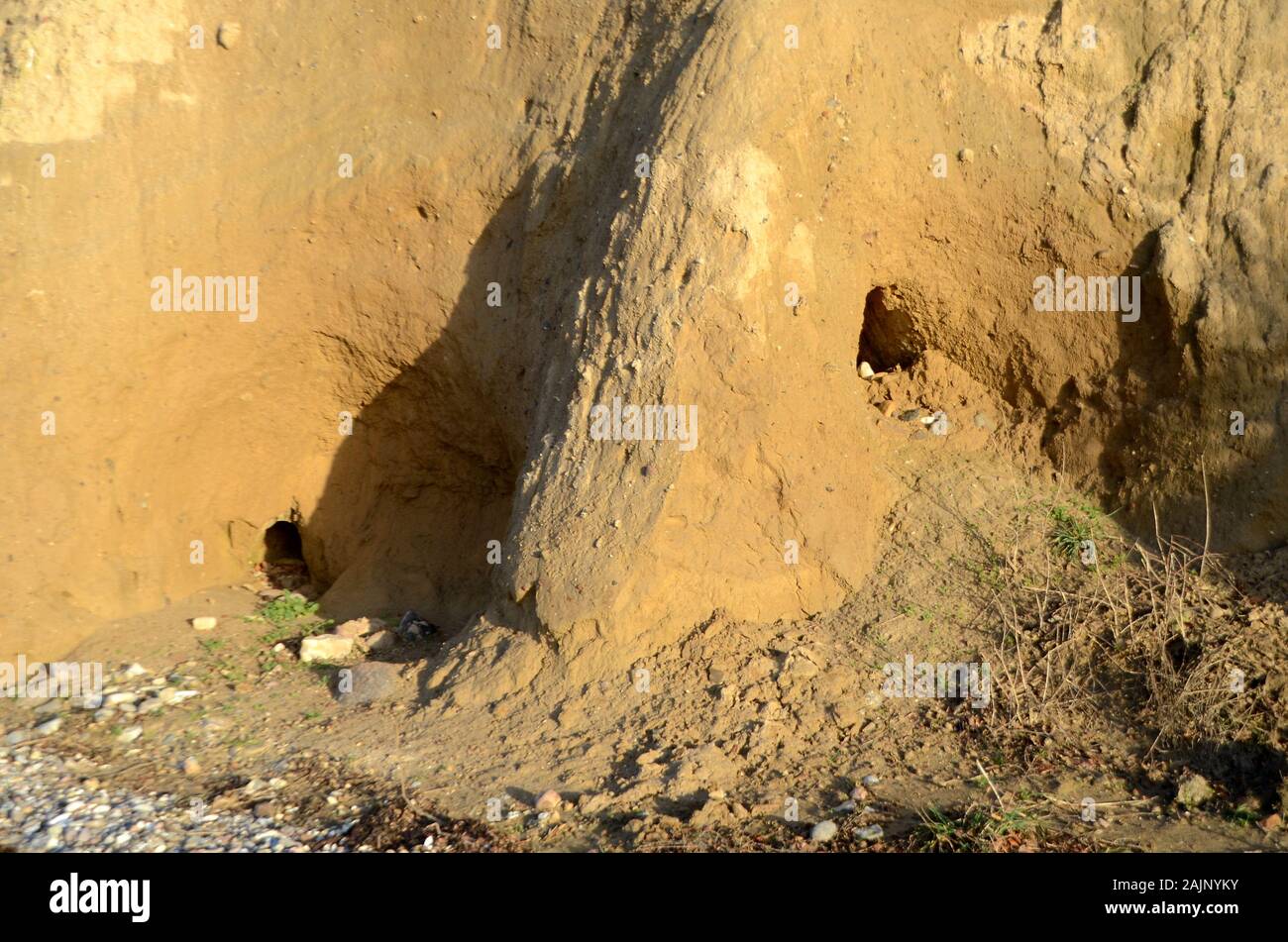 Openings of underground water streams in clay slope Stock Photo - Alamy