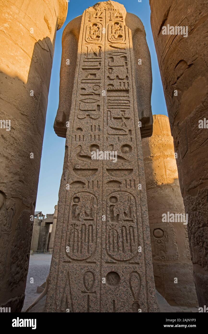 Columns with hieroglyphic carvings in ancient egyptian Luxor Temple ...