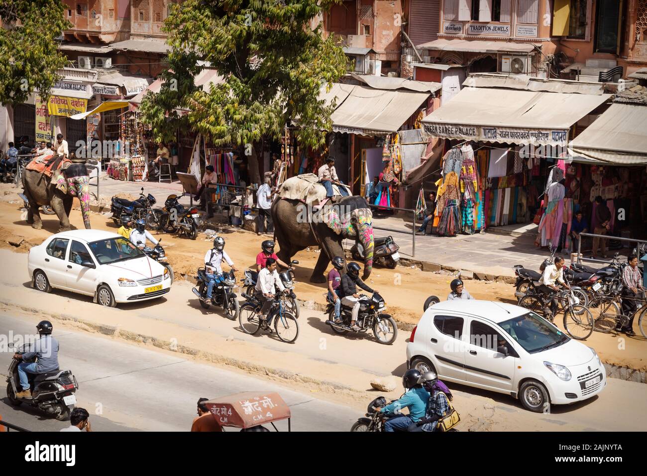 India holi festival elephant hi-res stock photography and images - Alamy