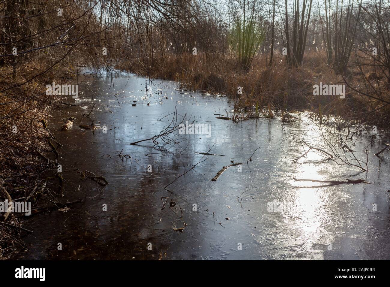 The frozen Lake Sasto near the village of Matrafured in Hungary on a ...