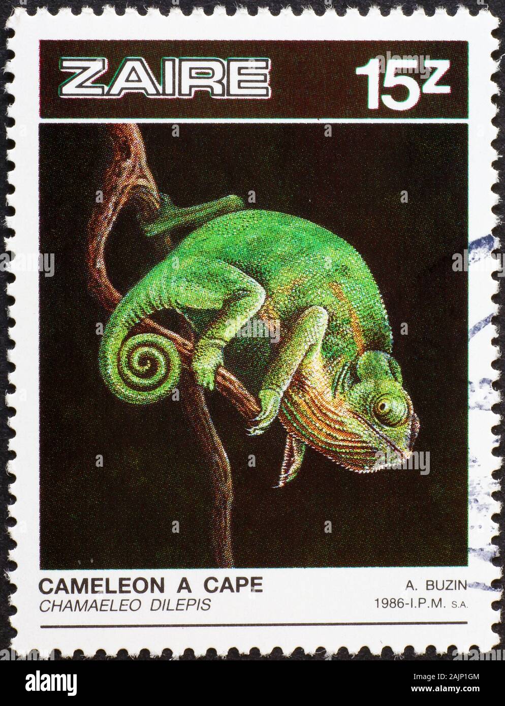 Chameleon on postage stamp of Zaire Stock Photo - Alamy