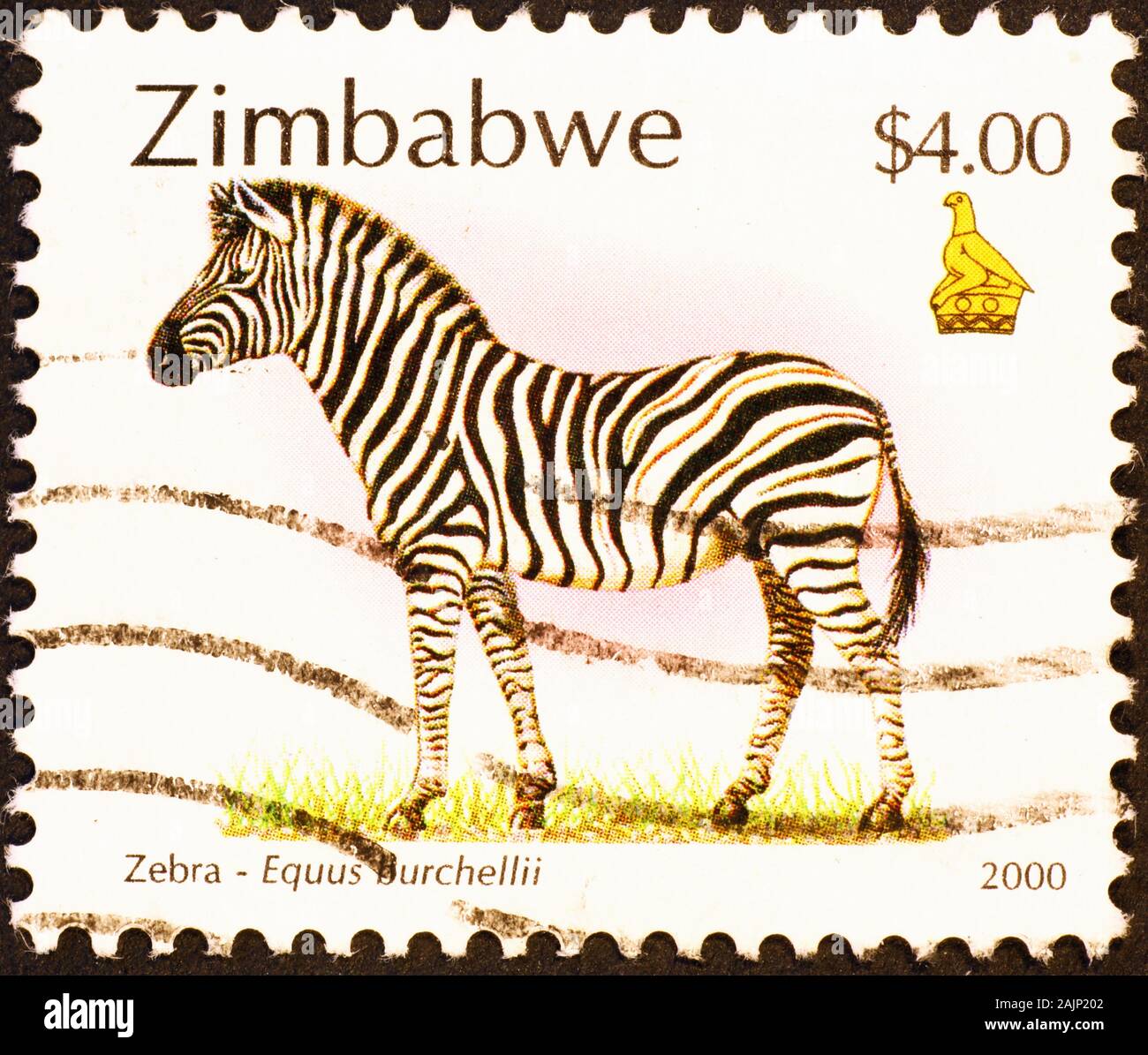 Zebra on postage stamp of Zimbaabwe Stock Photo - Alamy