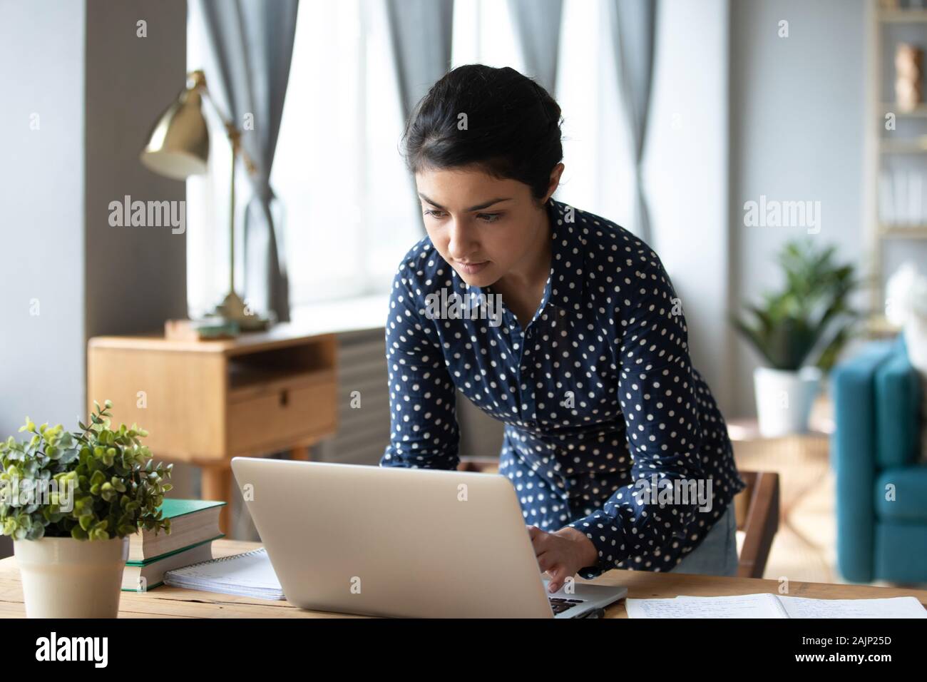 Serious young indian woman student studying on laptop at home Stock ...