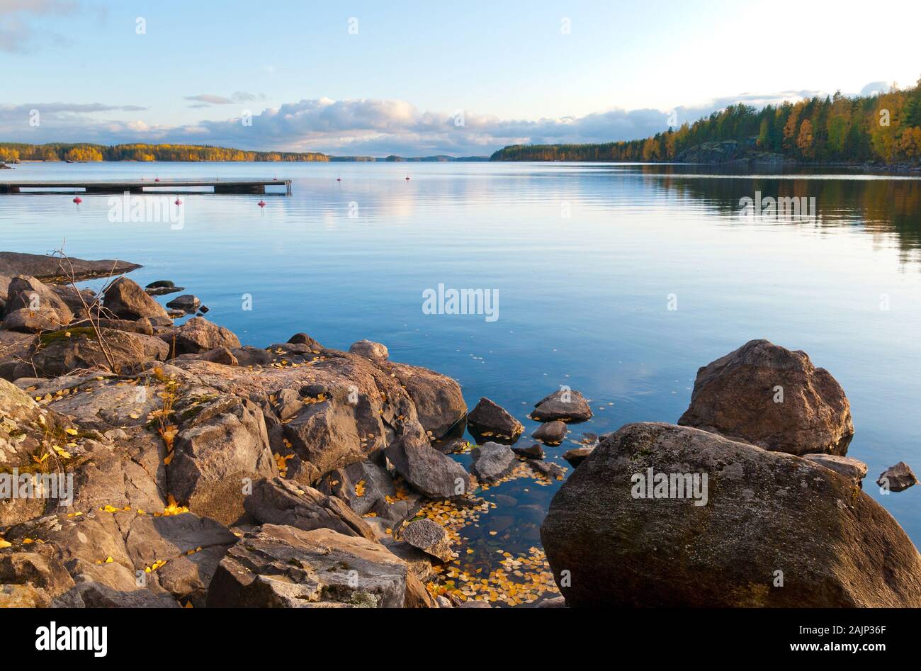 Stony bank of The Saimaa Lake with yellow autumn leaves in Puumala ...