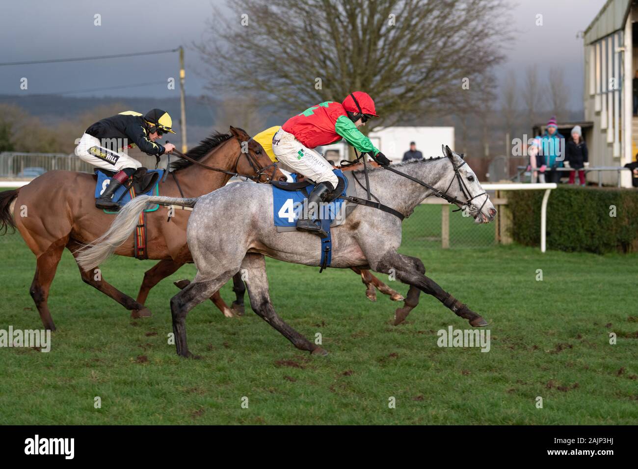 Race horse in winners enclosure hi-res stock photography and images - Alamy