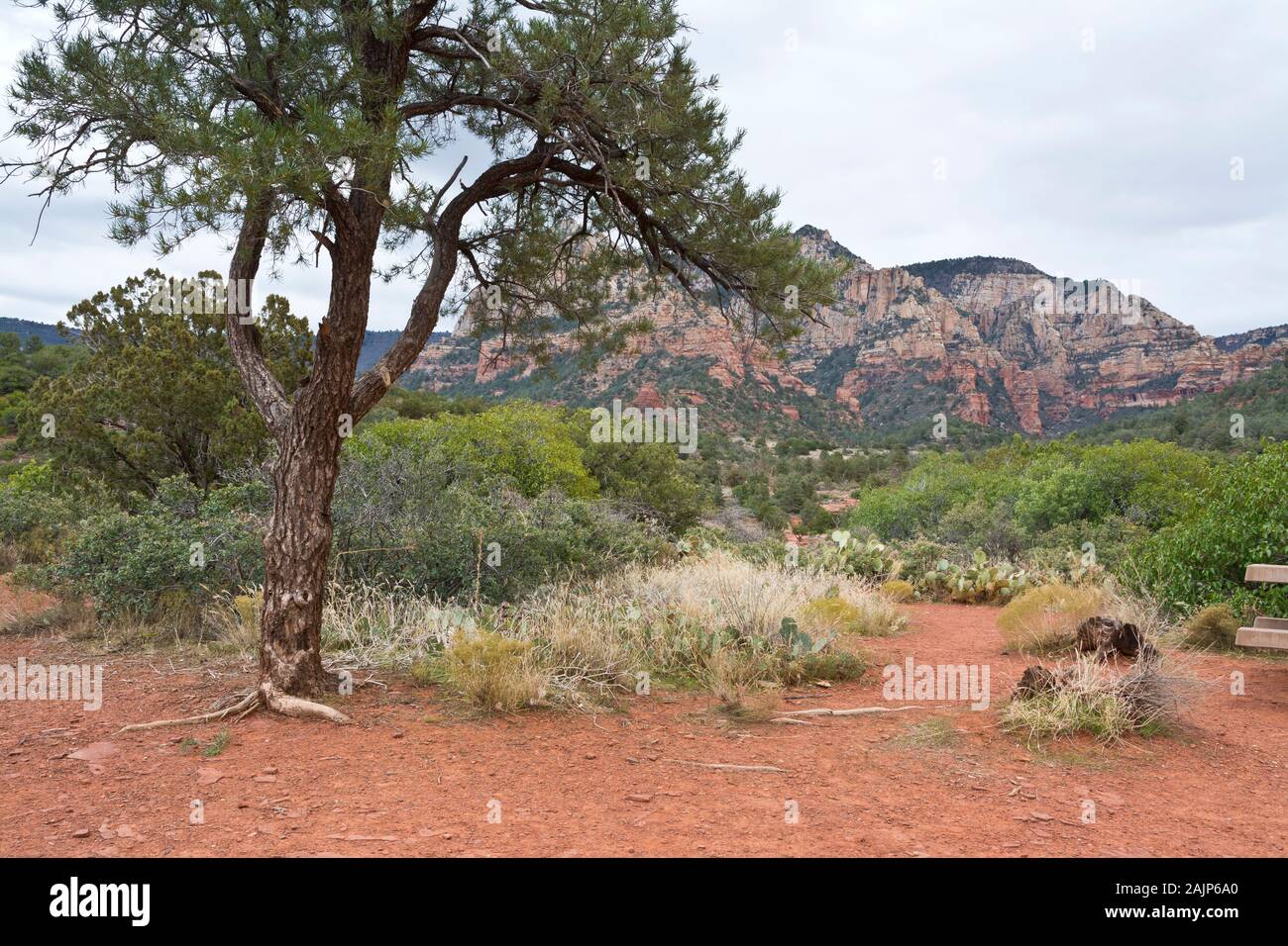 Sedona, Arizona, USA. View of the red rocks and desert landscape Stock ...