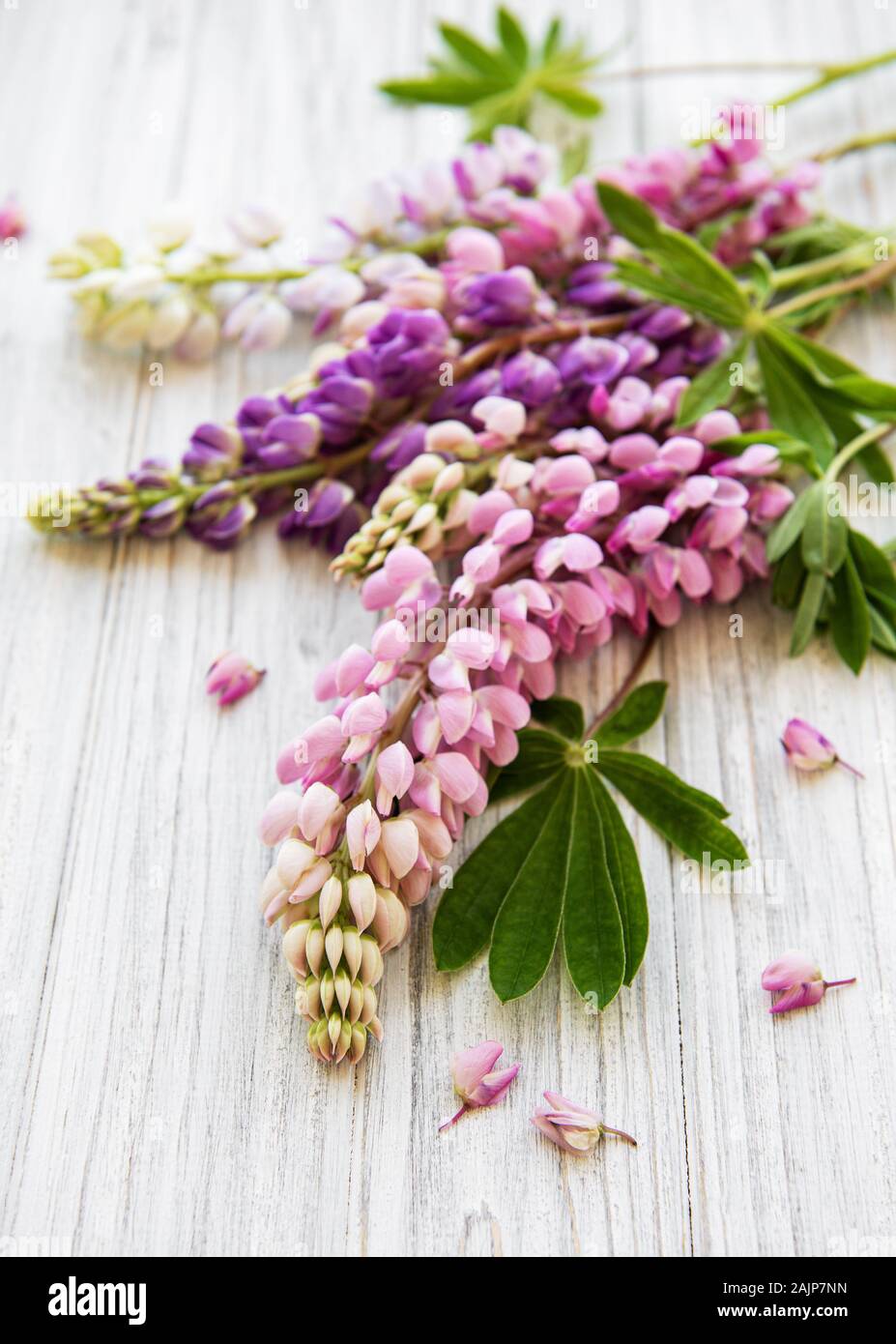 Pink lupine flowers border on a old wooden background Stock Photo - Alamy