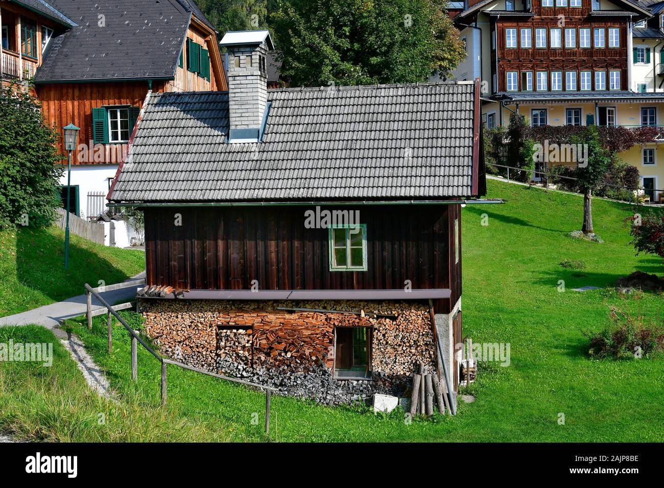 Austria, homes in traditional structure with piles of wood in the ...