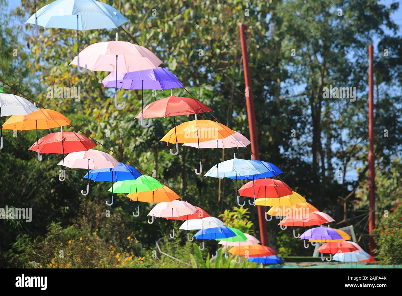 colorful umbrella decoration in outdoor Stock Photo - Alamy