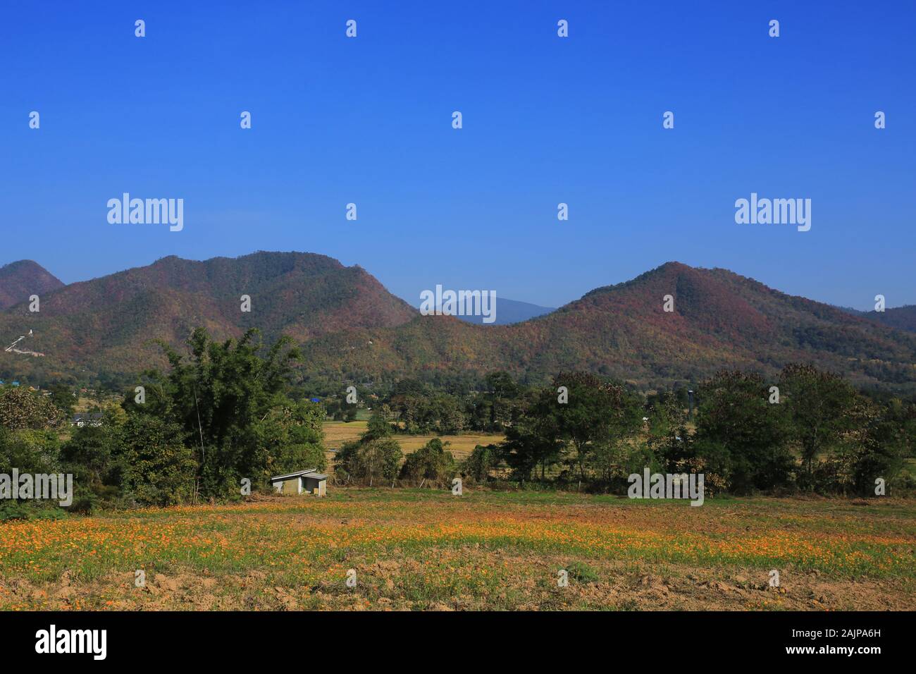 beautiful Pai village in Chiang Rai Stock Photo - Alamy