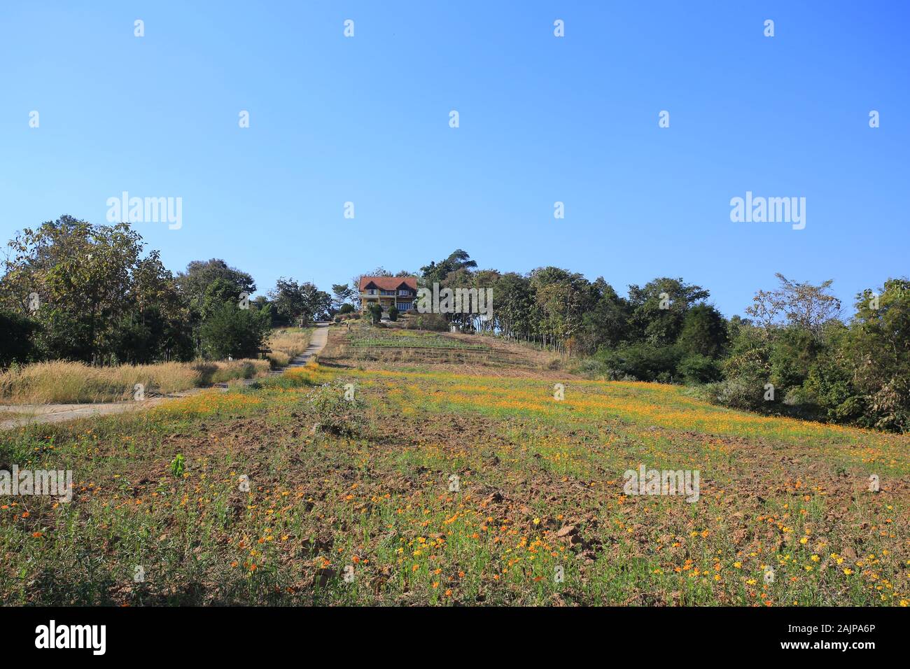 beautiful Pai village in Chiang Rai Stock Photo - Alamy