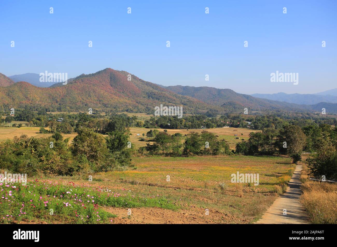 beautiful Pai village in Chiang Rai Stock Photo - Alamy